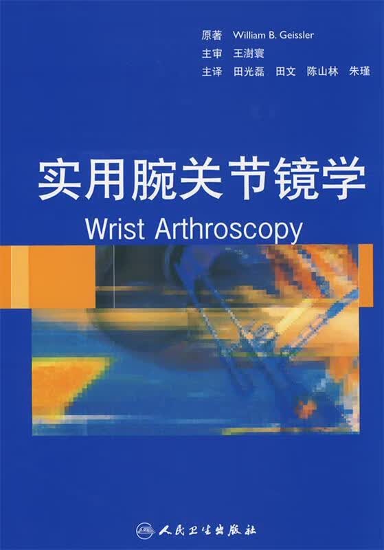 实用腕关节镜学 田光磊等主译 9787117101233