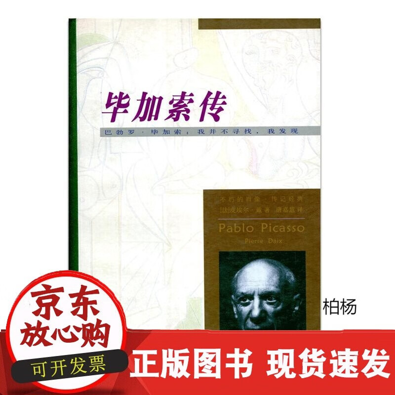 速发 毕加索传