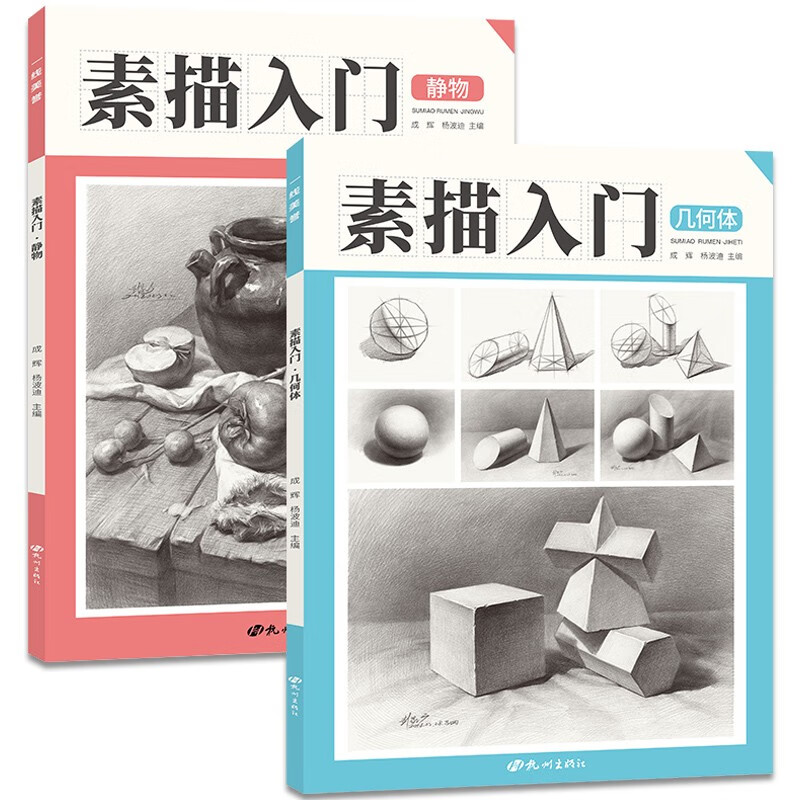 素描静物 素描入门全两册石膏几何体+素描静物单体组合结构照片临摹范本