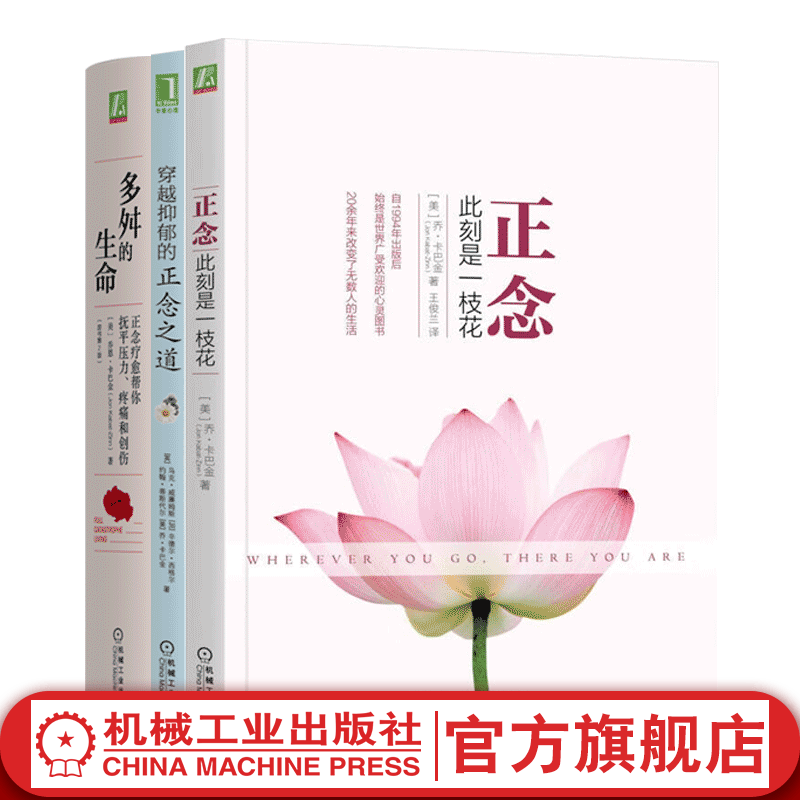 官网 卡巴金心理学作品集套装全3册 正念 此刻是一枝花+多舛的生命+穿越抑郁的正念之道 正念减压心灵疗愈心理学书籍