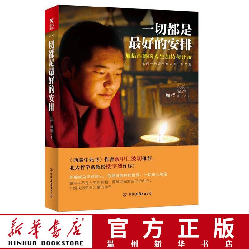 一切都是的安排新版加措活佛西藏生死书作者索甲仁波切佛学解决烦恼补充内在能量人生哲学心现当代文学励志书