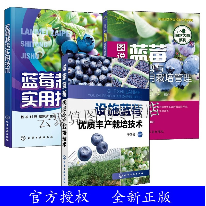 蓝莓种植技术书籍全三册 蓝莓栽培实用技术+图说蓝莓整形修剪与12月栽培管理+设施蓝莓优质丰产栽培技术 修剪技术病虫害防治水肥