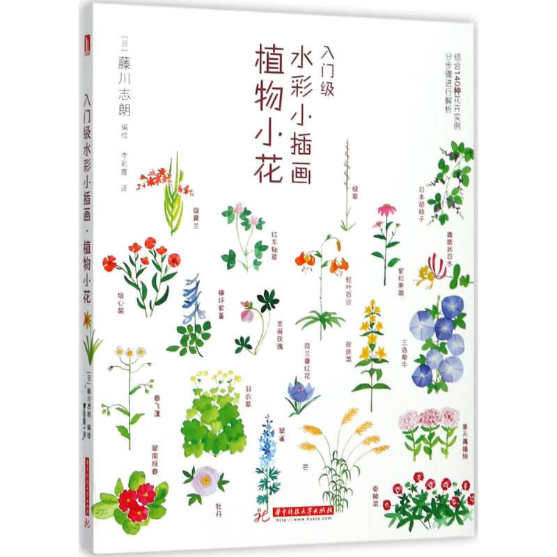 入门级水彩小插画植物小花