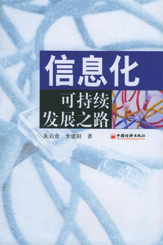 信息化可持续发展之路【好书，下单速发】