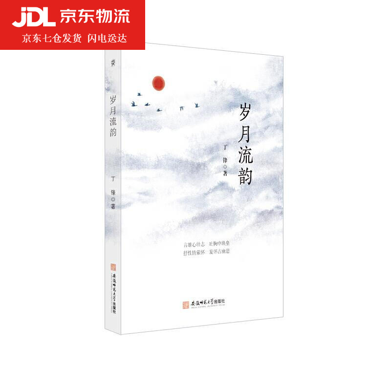 烽火孤鹰 丁锋 著 9787567647657