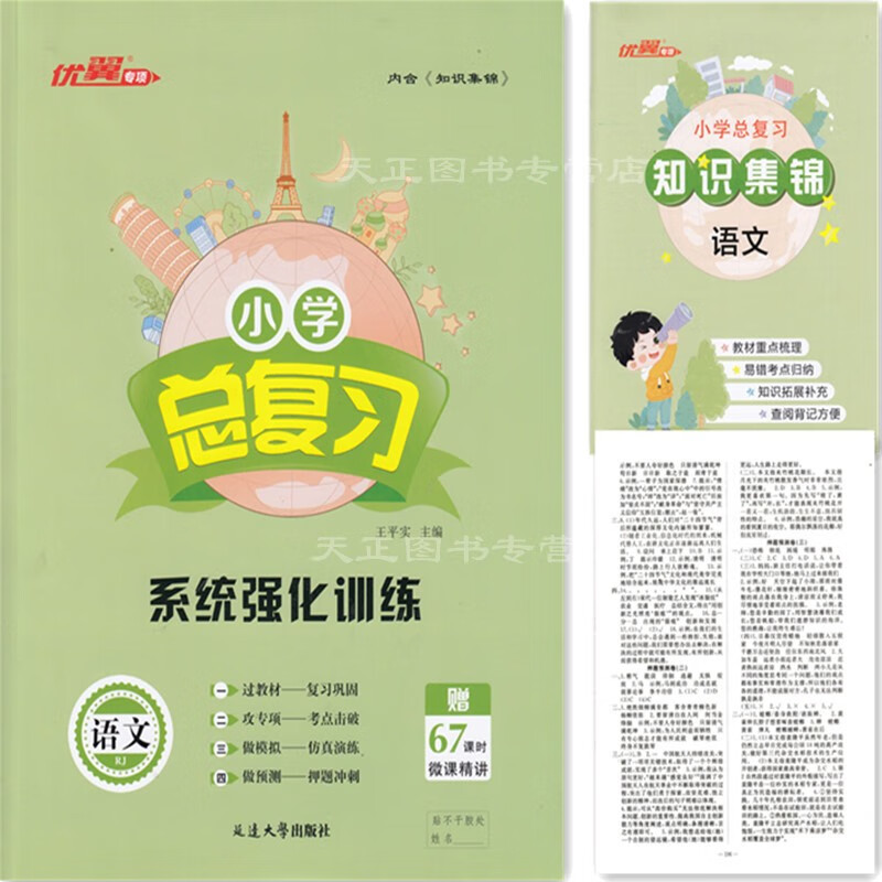 2023版 优翼专项 小学升学总复习语文 系统强化训练 小升初语文