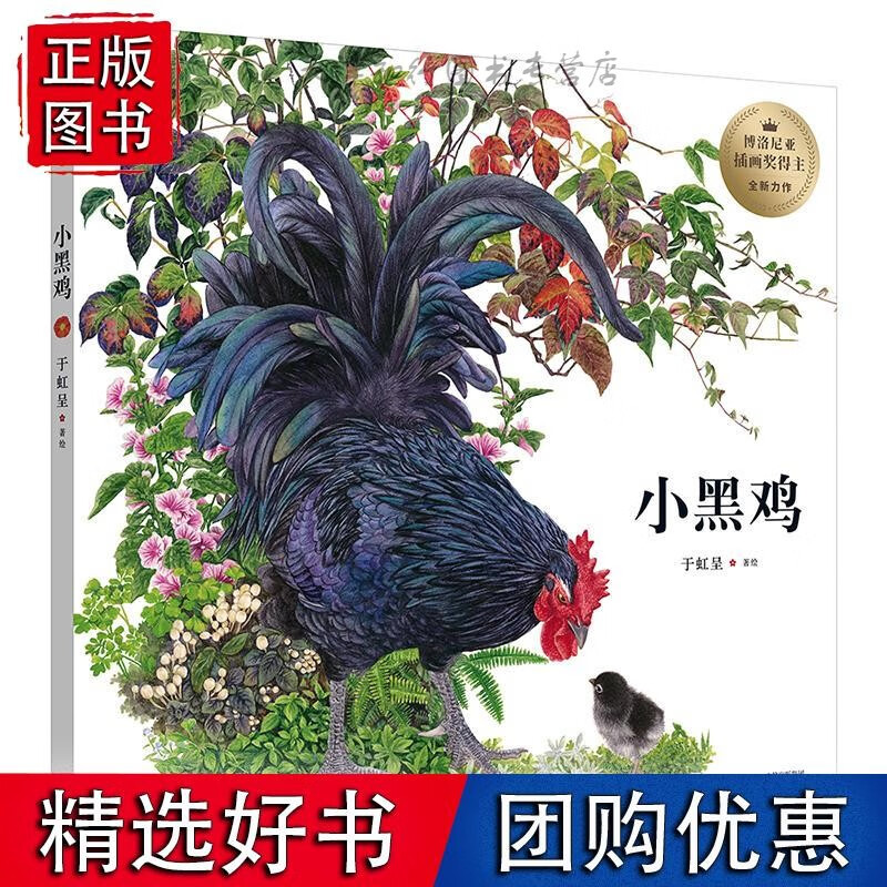 小黑鸡
