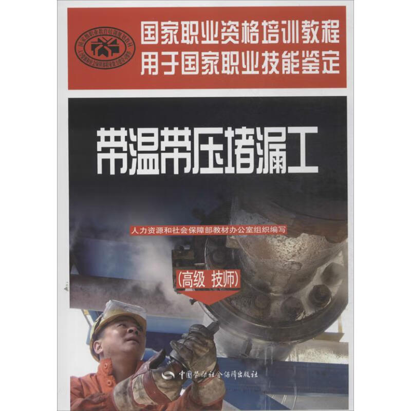 带温带压堵漏工 高级 技师