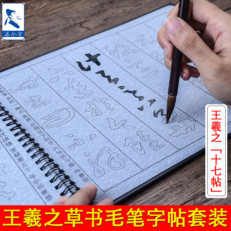 王羲之草书毛笔字帖十七帖描红水写本 王曦之行书草书练习临摹本书法老人练毛笔字仿宣纸加厚水写布套装