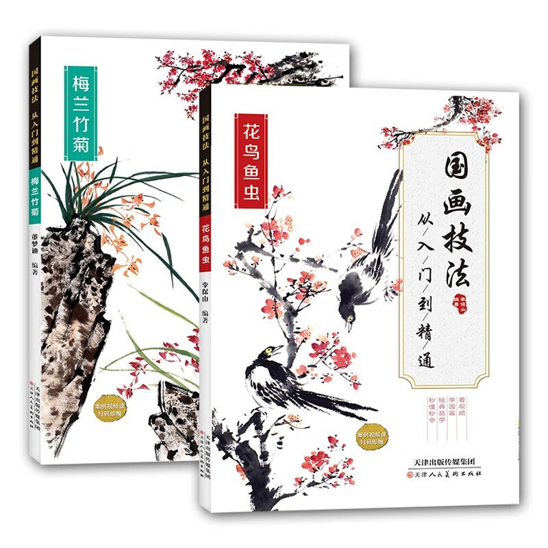 国画技法从入门到精通全套四册 梅兰竹菊花鸟鱼虫山水石林四季百花基础美术绘画少儿成人零基础教程书 花鸟鱼虫+梅兰竹菊