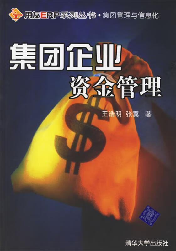 集团企业资金管理【好书，下单速发】