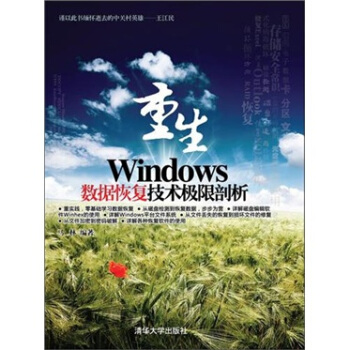 重生:Windows数据恢复技术极限剖析