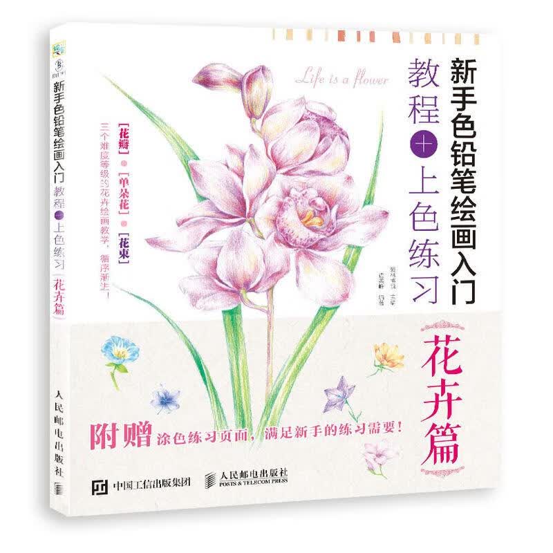 新手色铅笔绘画入门.教程+上色练习.花卉篇教程+上色练习.花卉篇