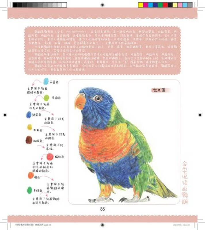 色铅笔的动物乐园【好书】