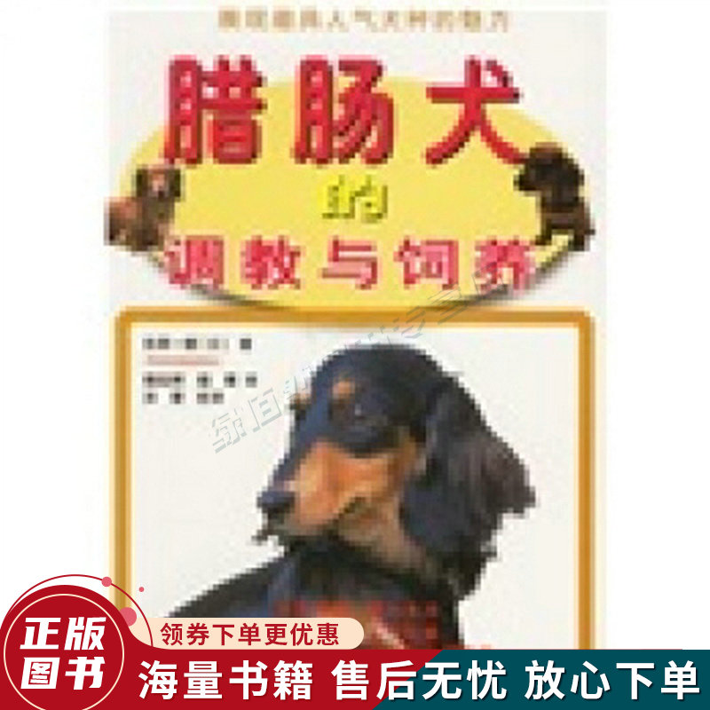 腊肠犬的调教与饲养