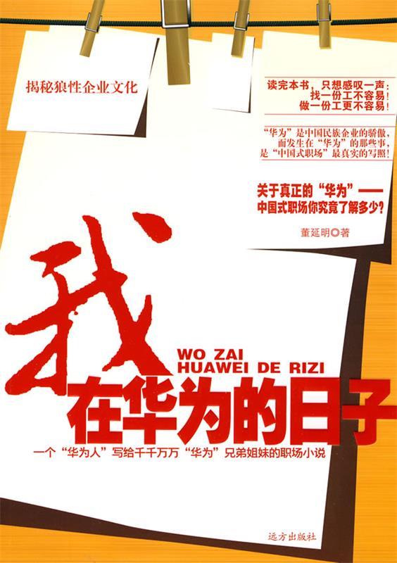 我在华为的日子 董延明著
