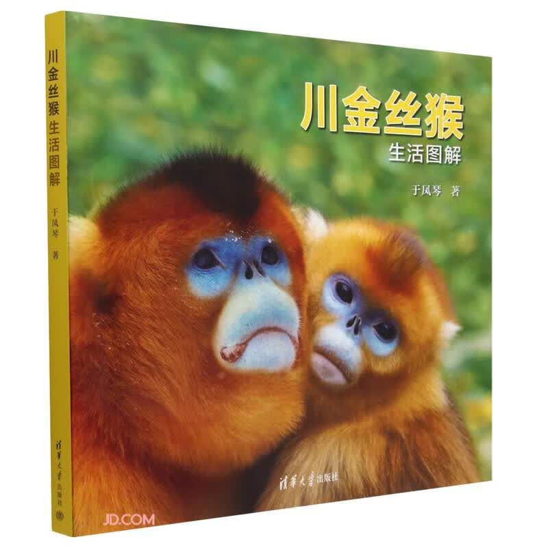 川金丝猴生活图解