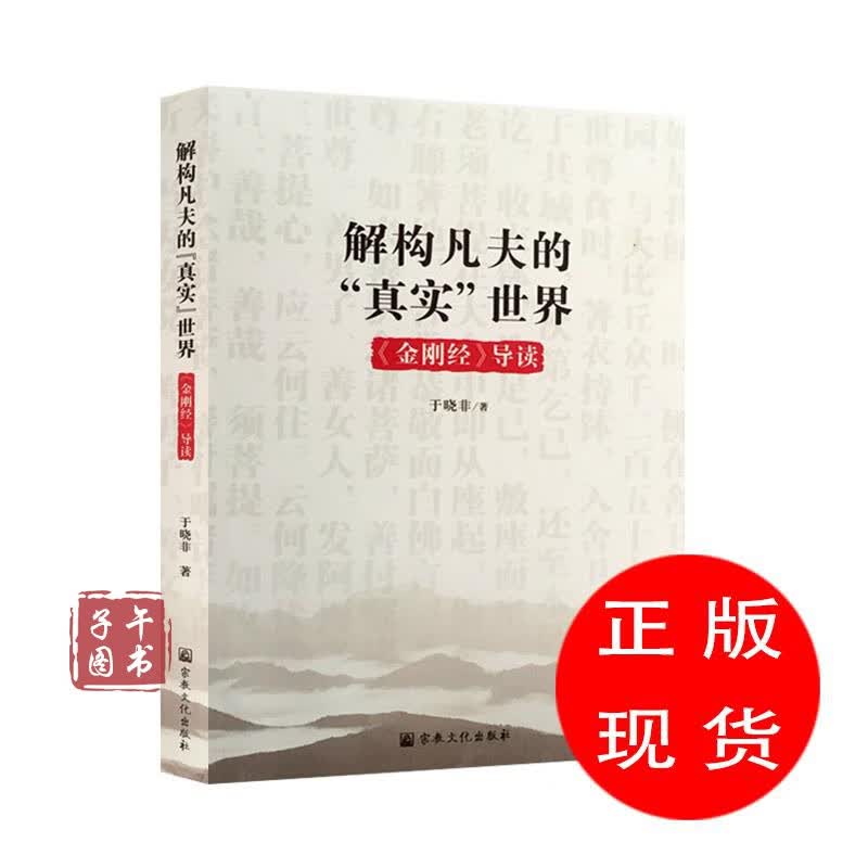 解构凡夫的真实世界:金刚经导读 于晓非 宗教文化出版社 于晓非讲金刚经 于晓非金刚经