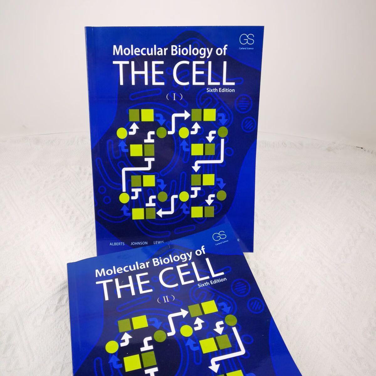 全彩英文纸质 Molecular Biology of the Cell 六版 现货速发 全彩纸质书