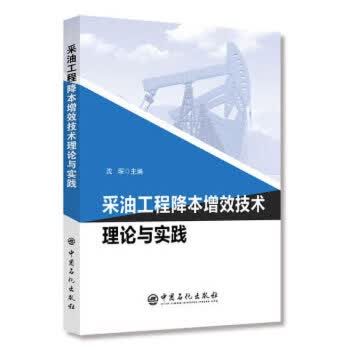 采油工程降本增效技术理论与实践 沈琛 中国石化出版社有限公司 9787511450227