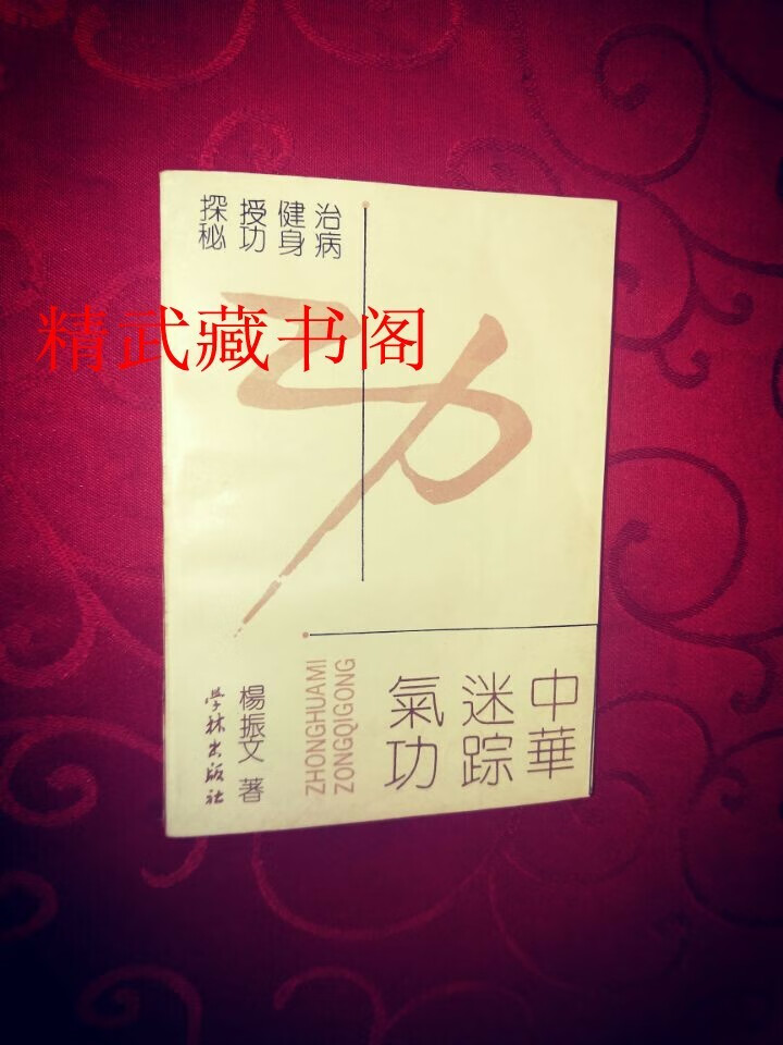 中华迷踪气功 治病健身授功探秘 武林拳谱 杨振文著 1991年现货