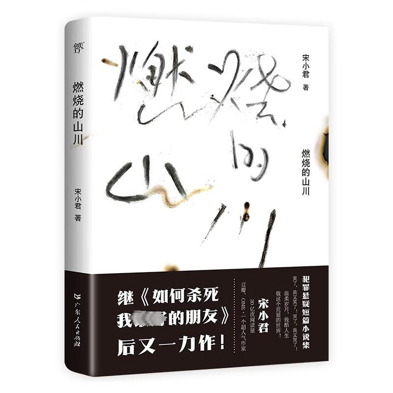 燃烧的山川 宋小君  书籍 图书