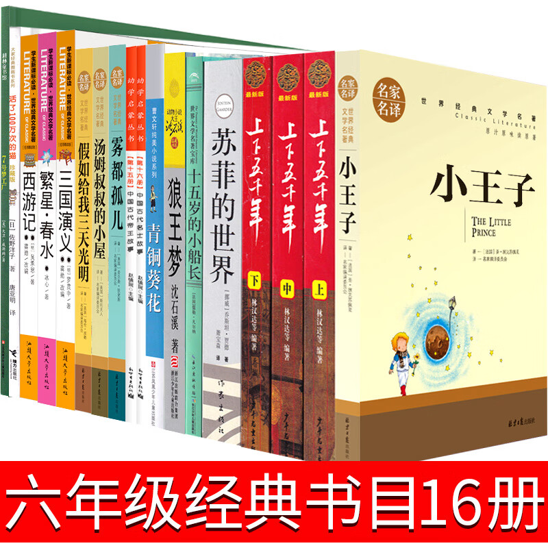 十五岁的小船长 凡尔纳著六年级长江少儿 世界文学名著宝库青少版现货6年级 十五岁的船长 15岁的 六年级课外书16册