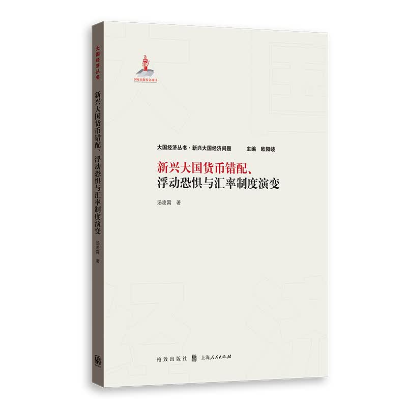 新兴大国货币错配、浮动恐惧与汇率制度演变