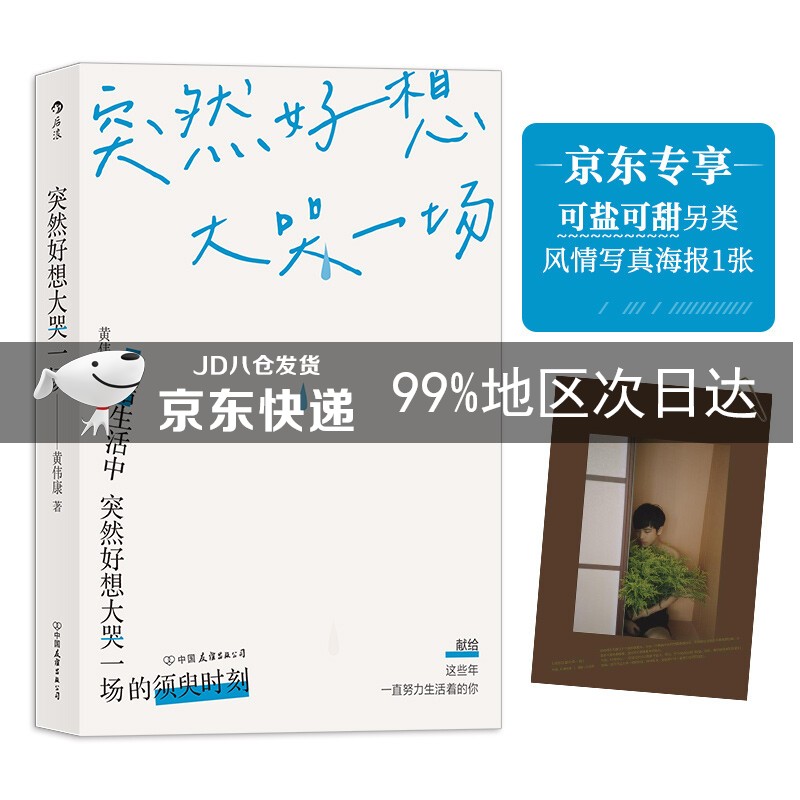 突然好想大哭一场（京东专享可盐可甜另类风情写真海报1张）