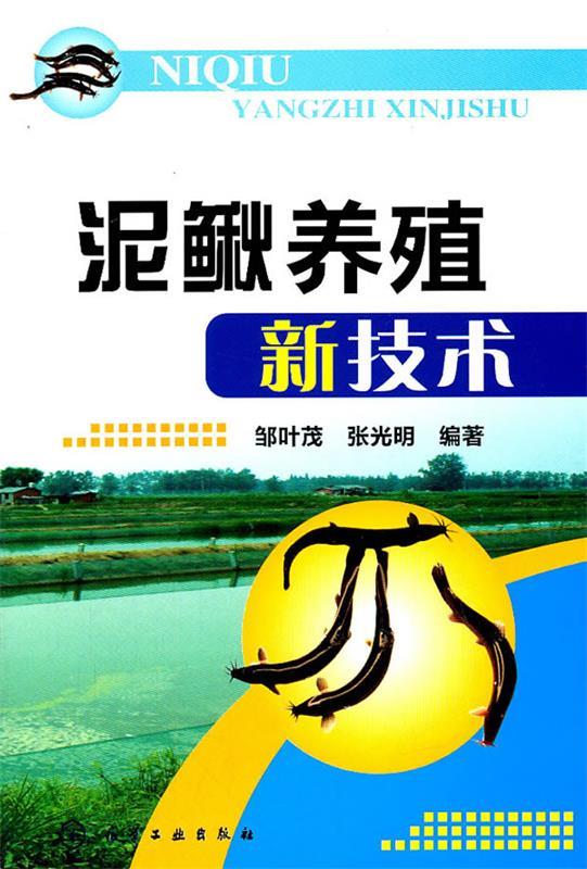 泥鳅养殖新技术