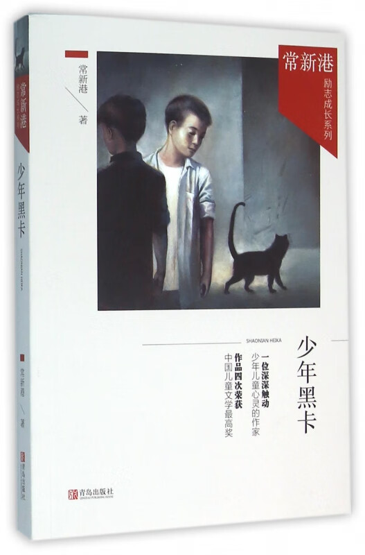 少年黑卡/常新港励志成长系列