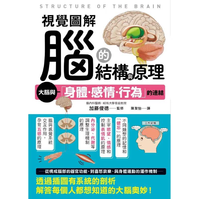 预售 加藤俊德 视觉图解 脑的结构与原理 枫书坊