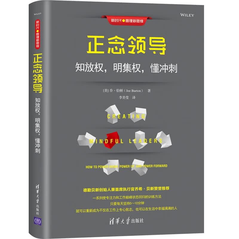 正念领导：知放权，明集权，懂冲刺（新时代·管理新思维）