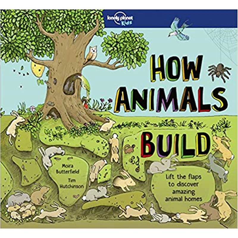 How Animals Build