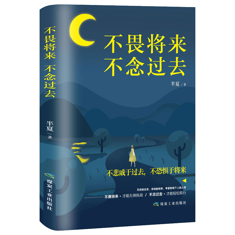 不畏将来不念过去正能量治愈系青春文学小说 不悲戚于过去不恐惧将来 青少年儿童自我安慰完善心灵鸡汤经典励志提升自己青春不迷茫正能量励志成功学图书籍