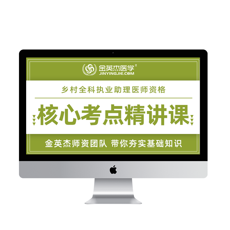 金英杰官方直营专营店 2023乡村全科执业医师考试用书 年核心考点精讲课 核心考点全攻略 实践技能图解 速记手册 2023速记手册