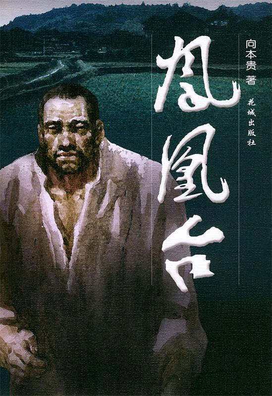 凤凰台 向本贵 著【好书，下单速发】
