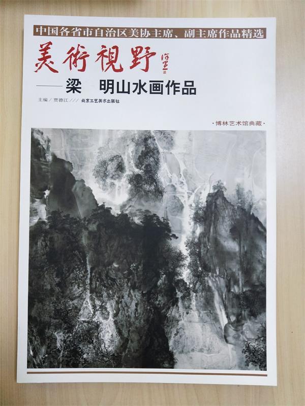 美术视野 贾德江 主编【书】