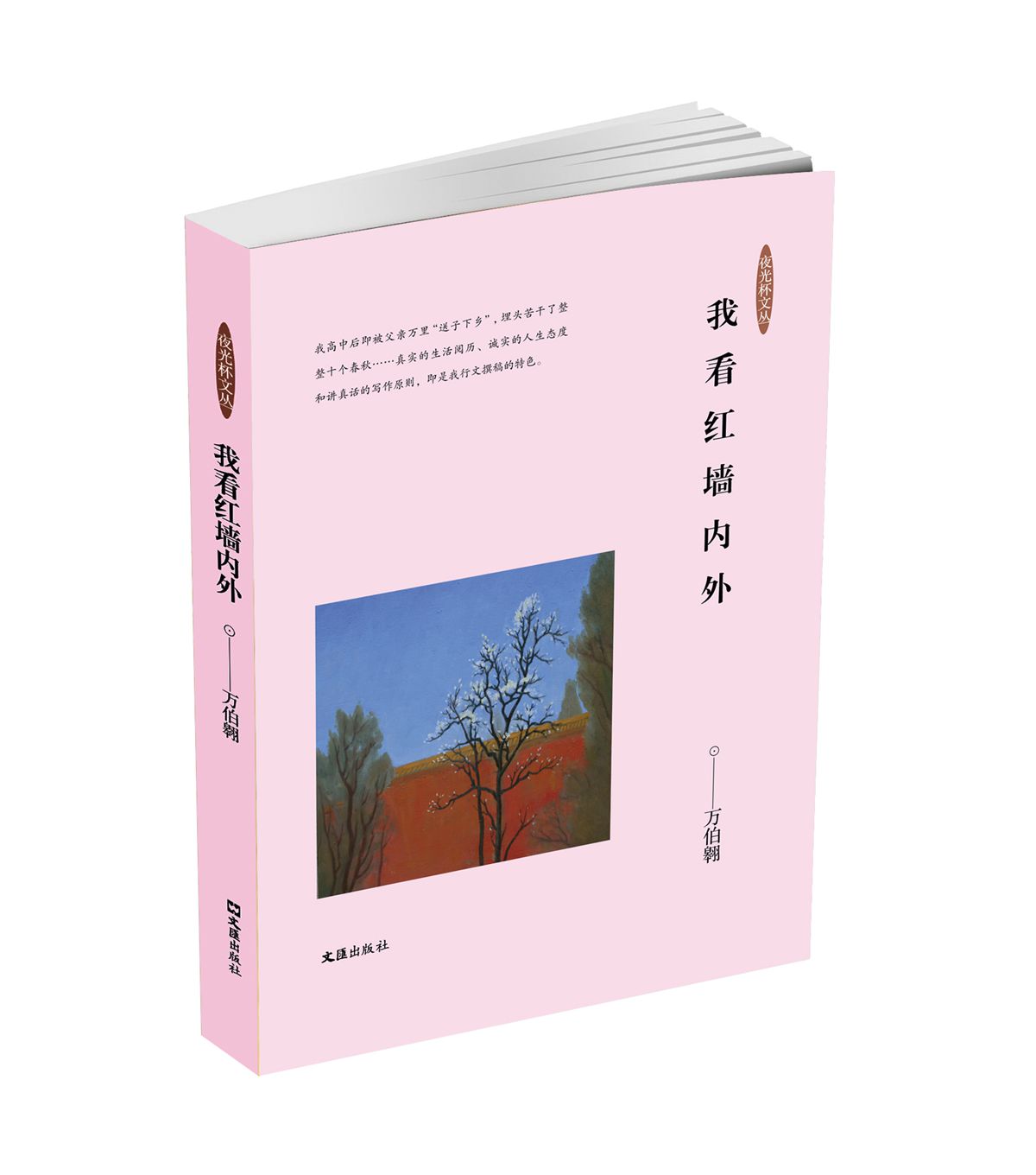 我看红墙内外