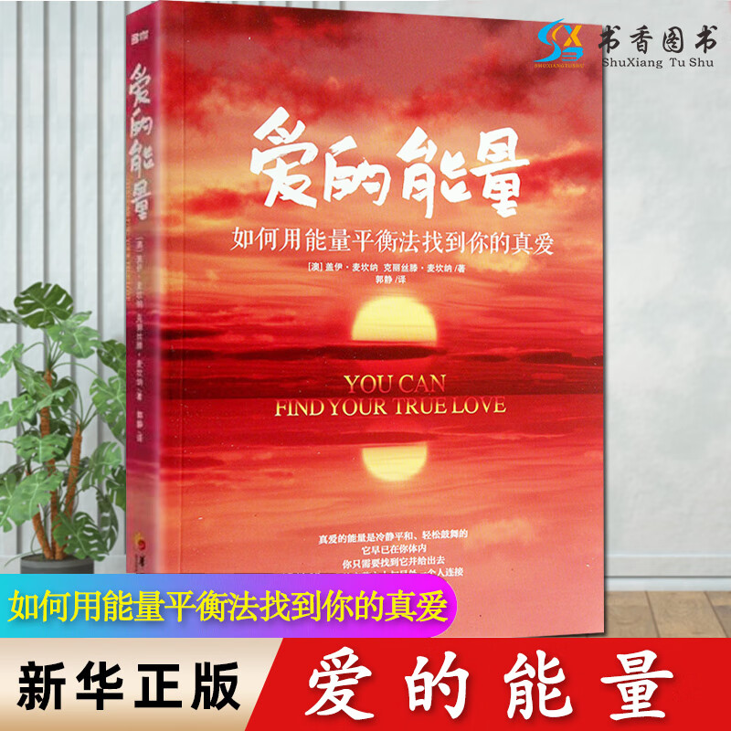 】爱的能量——如何用能量平衡法找到你的真爱(澳)盖伊麦坎纳两性生活图书爱的秘密华夏出