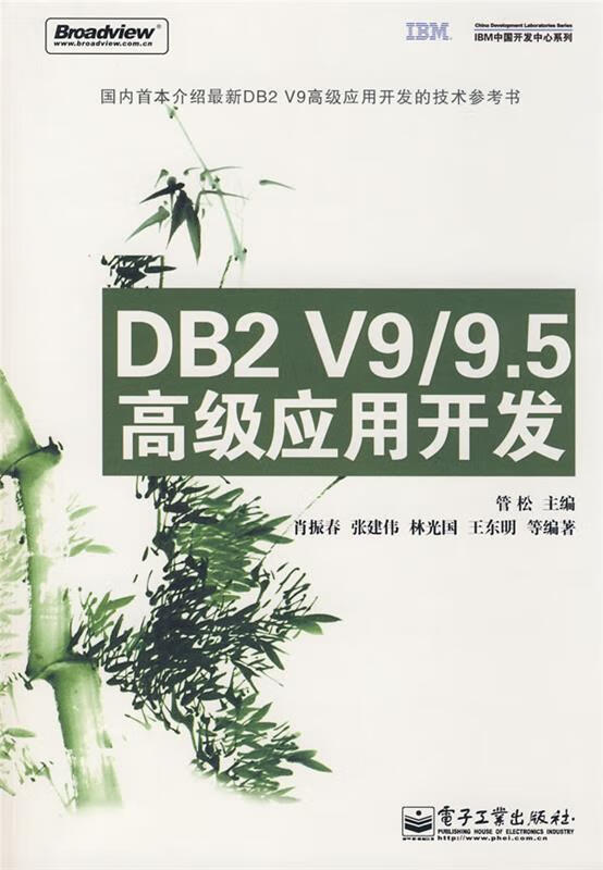 DB2 V9 9.5高级应用开发 管松主编 电子工业出版社