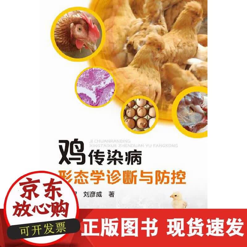 【现货】鸡传染病形态学诊断与防控