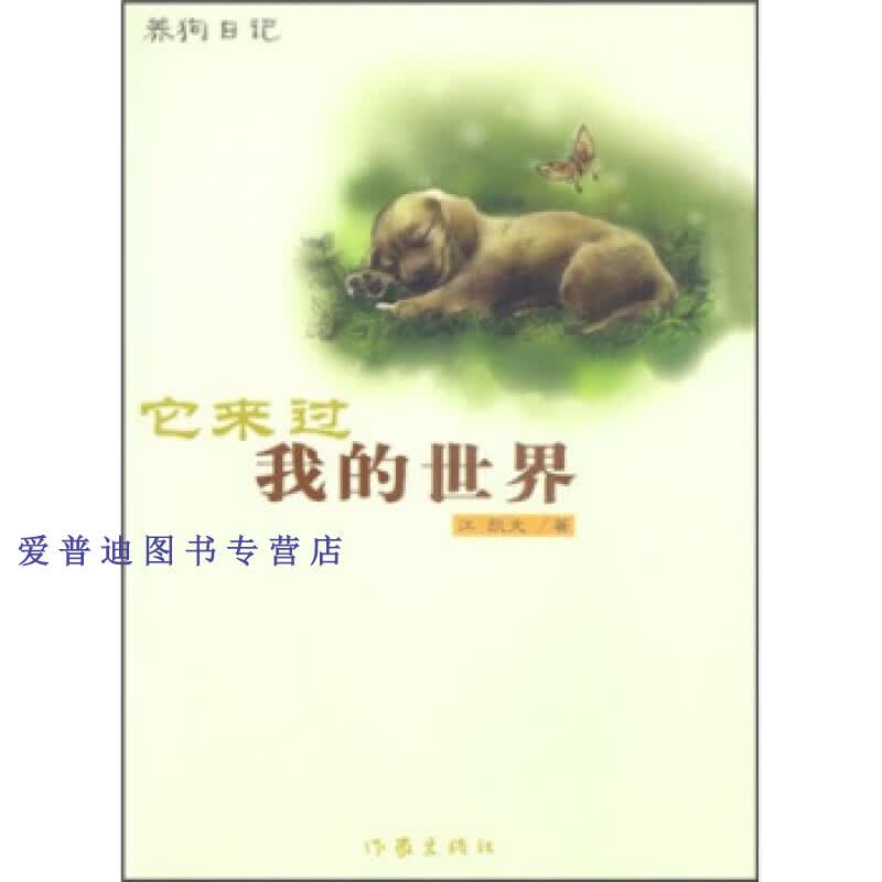 它来过我的世界 江凯文【好书，下单速发】