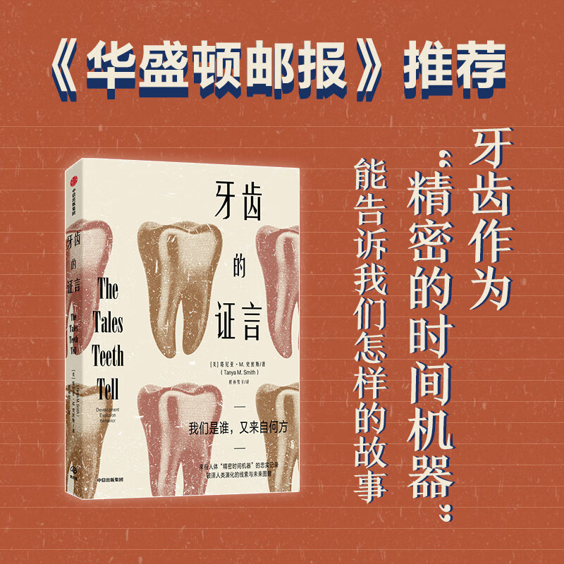 牙齿的证言 图书