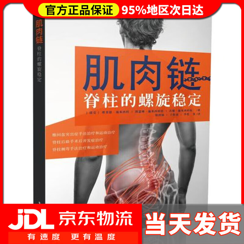 肌肉链 脊柱的螺旋稳定