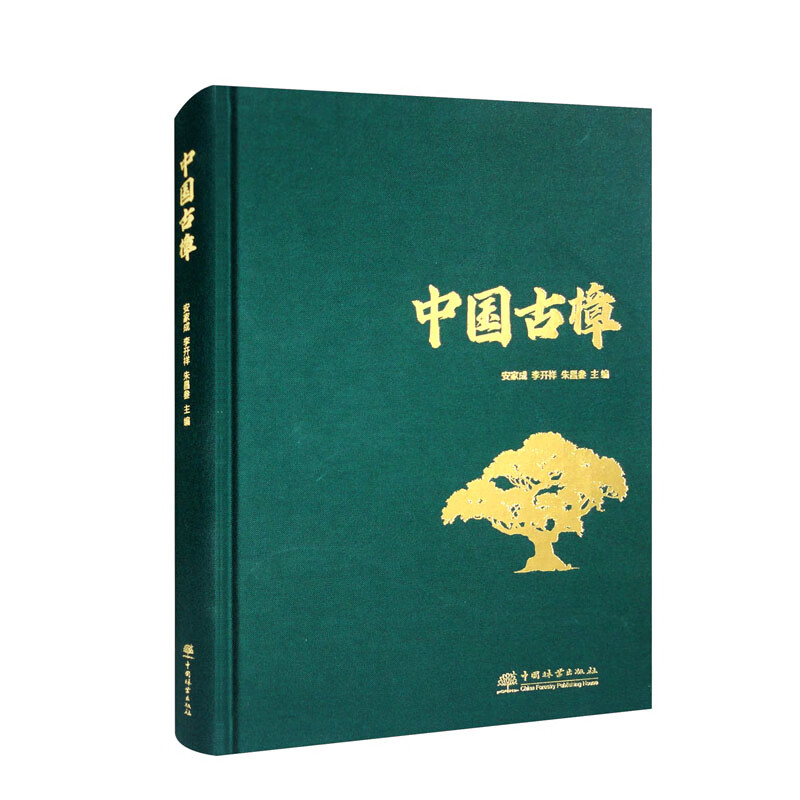 中国古樟（精）
