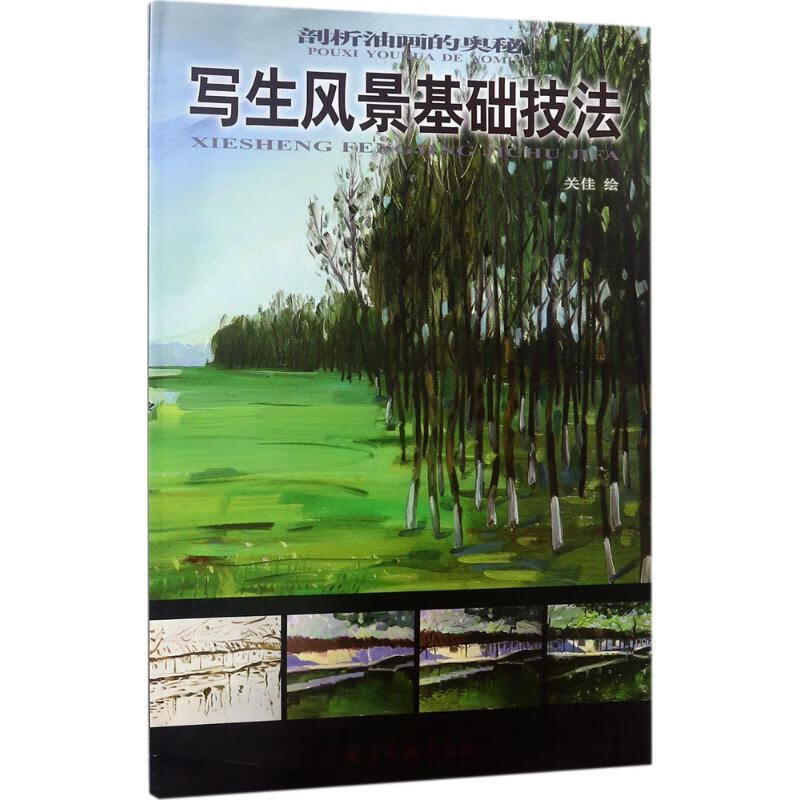 写生风景基础技法 剖析油画的奥秘 关佳 绘 天津杨柳青画社