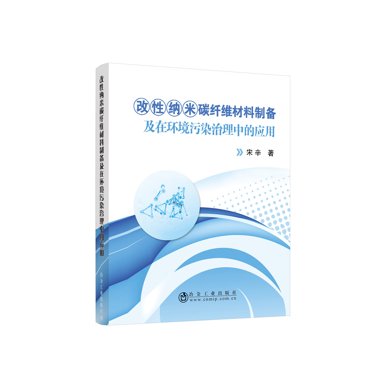改性纳米碳纤维材料制备及在环境污染治理中的应用   宋辛