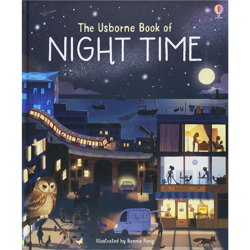 Big Picture Book of Night Time