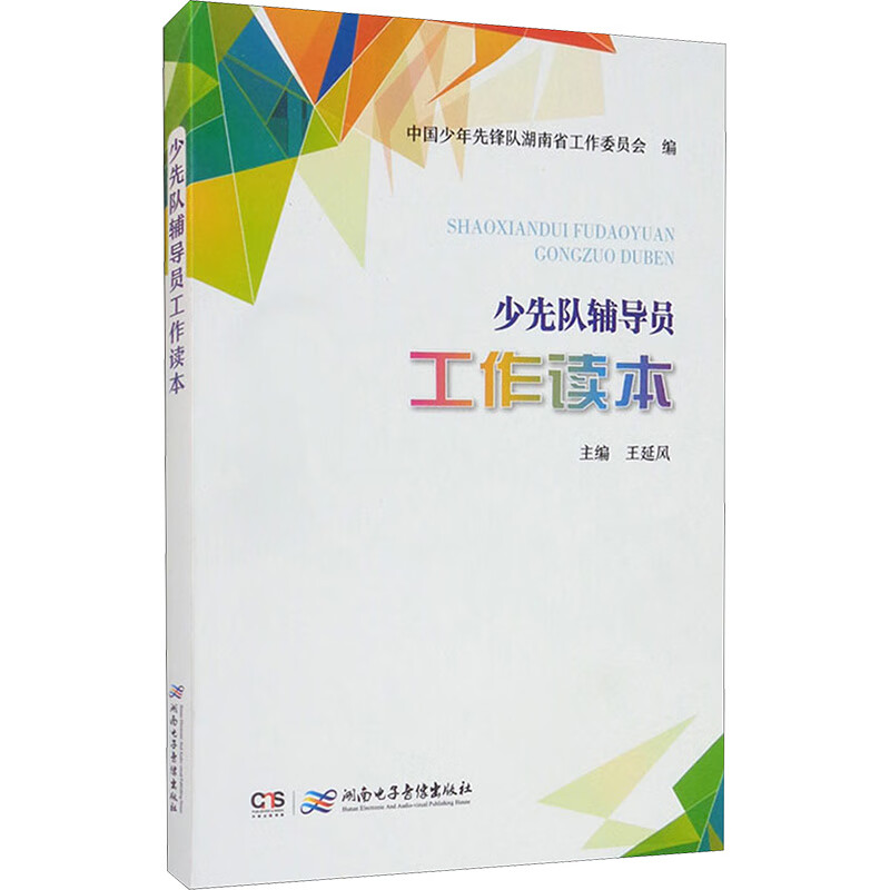 少先队辅导员工作读本 图书